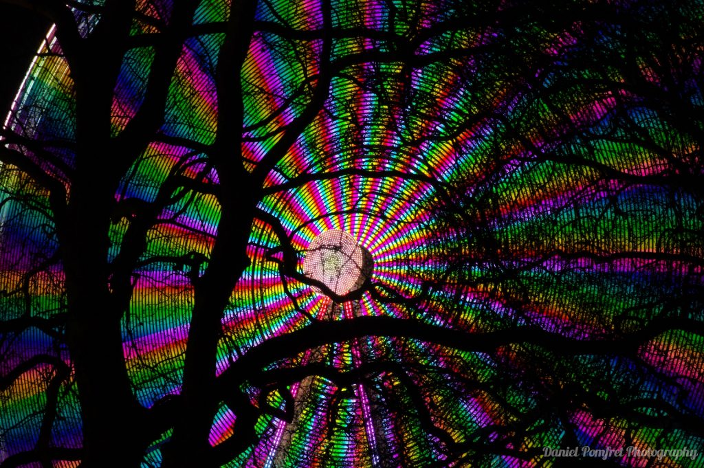 Light Show - Winter Wonderland Fair Rides NY10975 - Daniel Pomfret ...