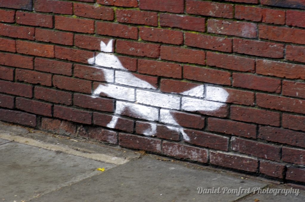 Fox Stencil, Street Art, Graffiti, Abbey Road, London 912 - Daniel ...
