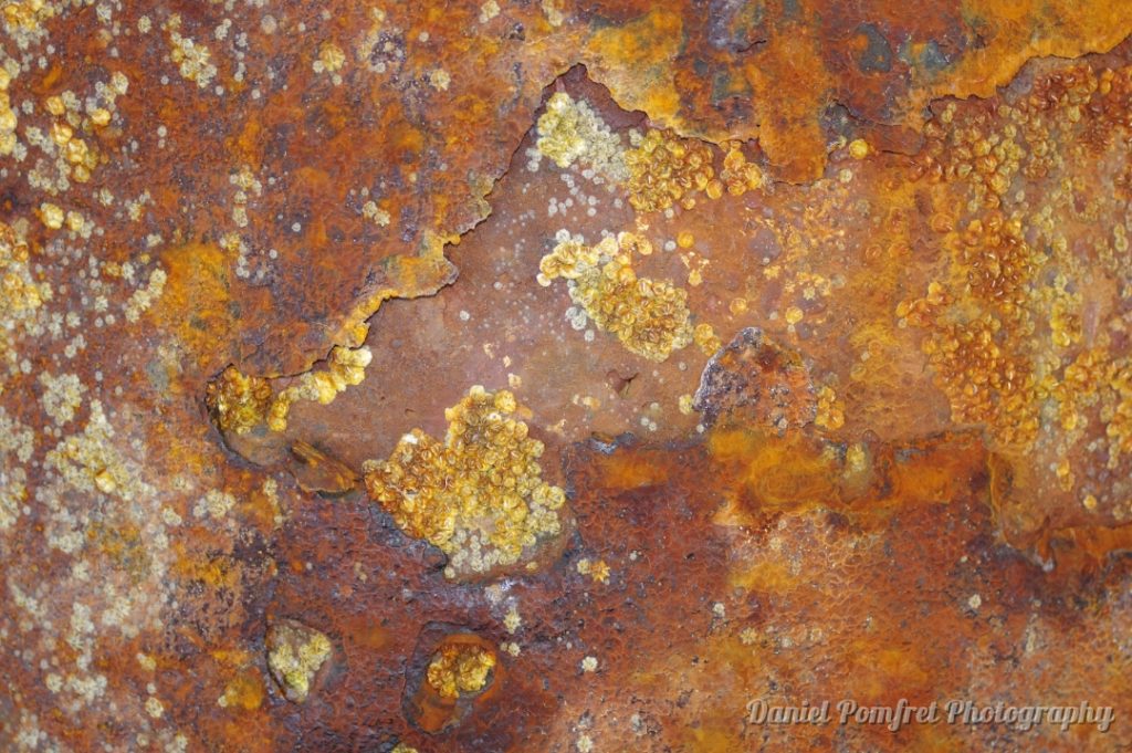 Textures Archives - Daniel Pomfret Photography